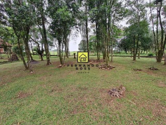 Sítio com ótima localização! Próximo do centro de Serra Grande!