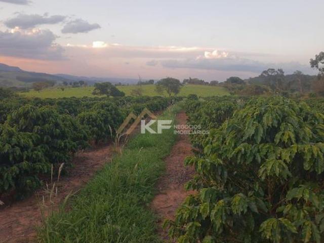 Sítio com Lavoura de café em Cassia/MG