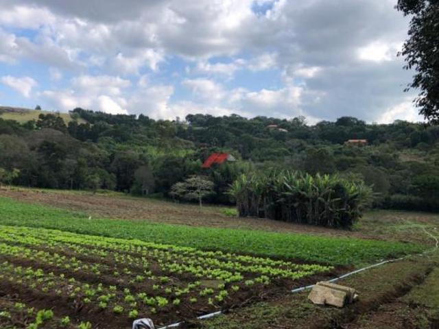Sitio com Lago e Nascente