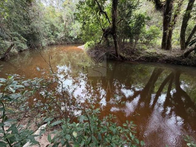 Sítio com Lagos, Ribeirão e Natureza Abundante