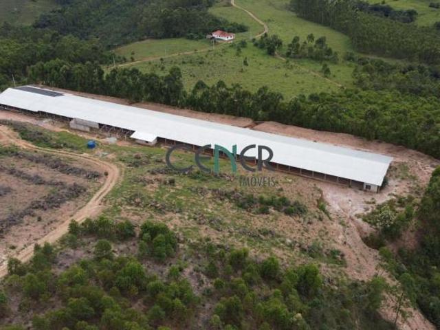 Sítio com montagem de granja toda pronta na região de Barbacena MG