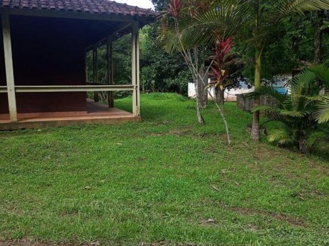 Sitio com nascente, 17mil pés de banana, cahoeira e piscina