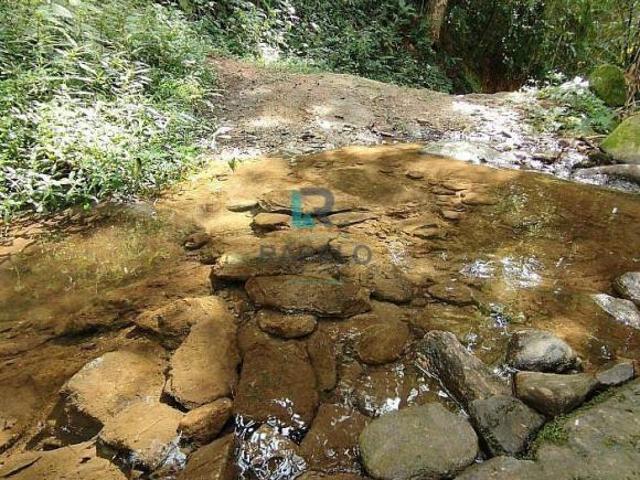 Sítio com pomar e lago no bairro dos pilões em Guaratinguetá
