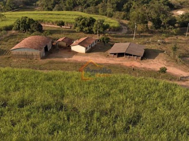 SÍTIO COM RIACHO, ÁREA VERDE E EXCELENTE POTENCIAL PRODUTIVO