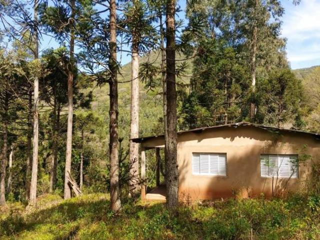 Sitio com Riacho em São Francisco de Paula/RS na Localidade de Boa Vista