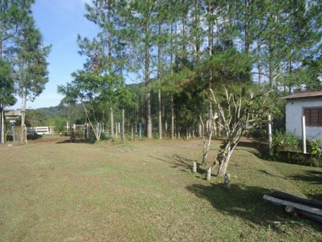 Sítio com topografia 100% plana e aproveitável, rico em água e riacho com água cristalina à venda em