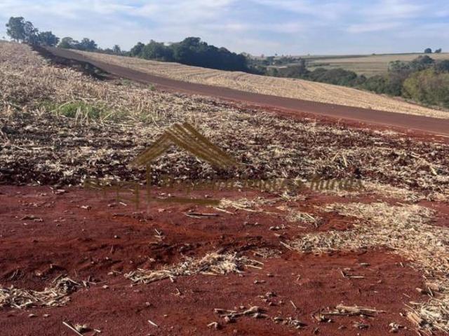 Sítio com terra roxa na região de Ourinhos