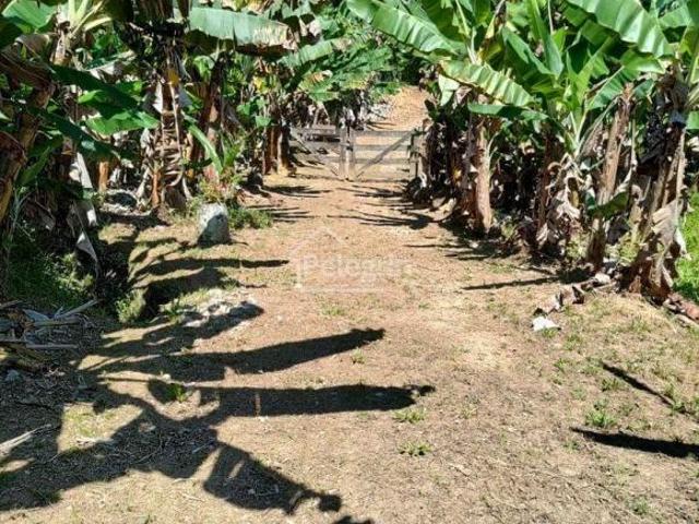 Sítio Completo com 36.600m² – Uma Oportunidade Imperdível!