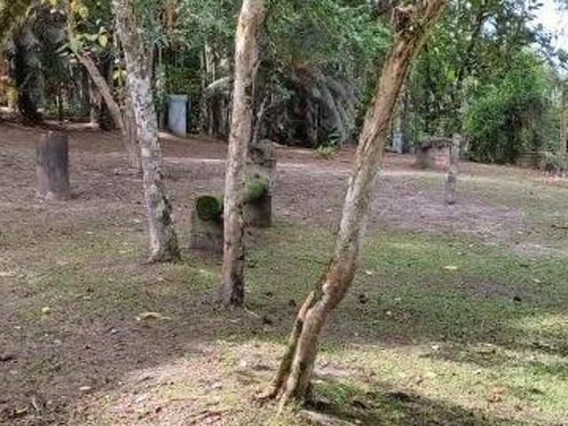 SITIO COMPLETO EM ITANHAEM COM 1 HECTARE DE METRAGEM ESTUDA PROPOSTA