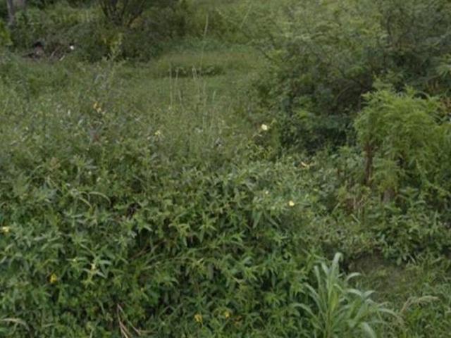 Sítio confortável na zona sul