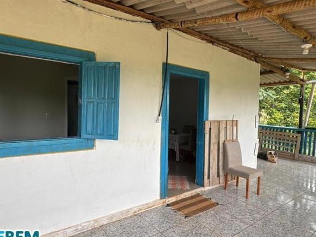 Sitio, Córrego dos Quinquins, Iapu, MG