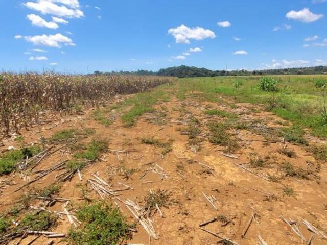 SÍTIO DE 49 HECTARES PRÓXIMO A CIDADE PLANALTINA GO PLANA