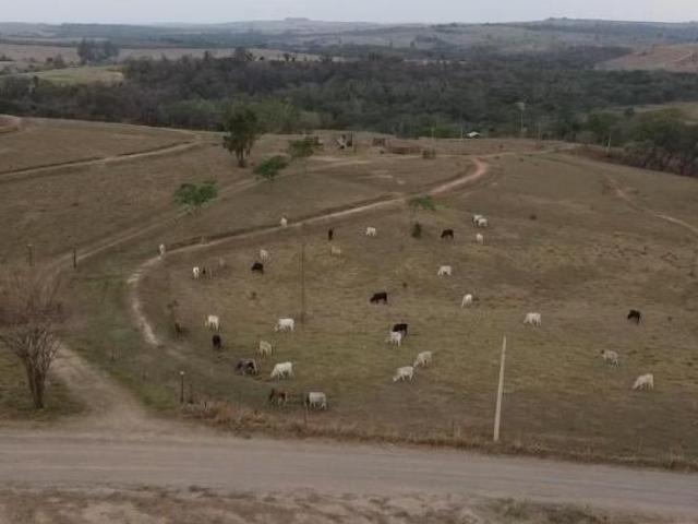 SITIO DE 4,5 ALQUEIRES A 1 KM DO ASLFALTO