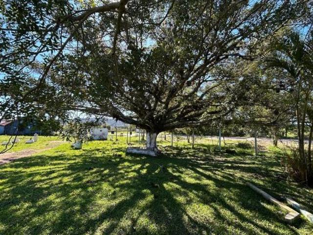 SÍTIO DE 4.600M² EM ITAPUÃ
