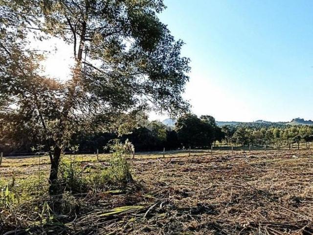 Sitio de 60.000 metros quadrados com casa em Capela de Santana ao lado da cidade!