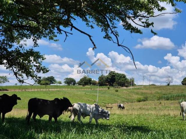 Sítio de 6,6 hectares com água, solo fértil e alto potencial produtivo à venda n