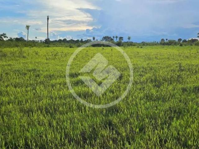 Sítio de 70 Hectares em Poconé – Pronto para Pecuária e Rico em Água