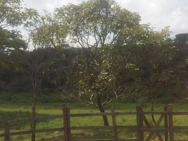 Sítio de 72.500m² à venda na região do Cajuru