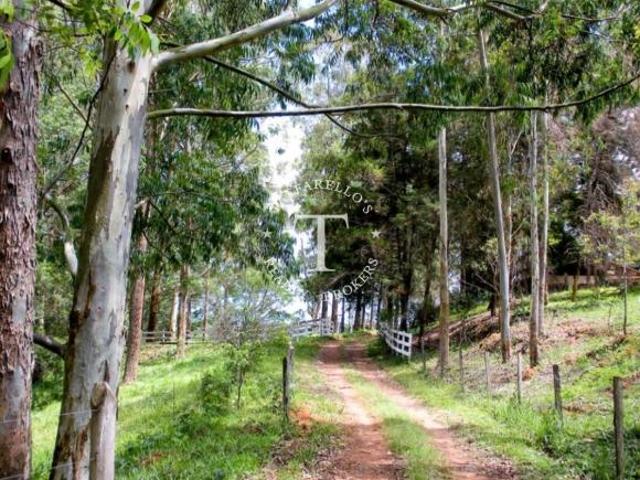 Sítio de 78,5 hectares 32 alqueires à venda em Morungaba SP