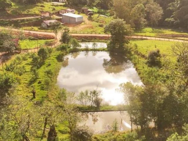 Sítio de 7 alqueires de terra à venda entre Bueno Brandão e Monte Sião no Sul