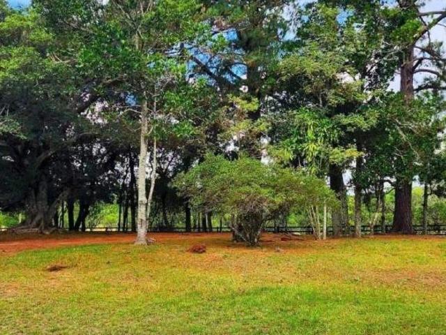 Sítio de 8 hectares com infraestrutura completa próximo ao Centro de Viamão!