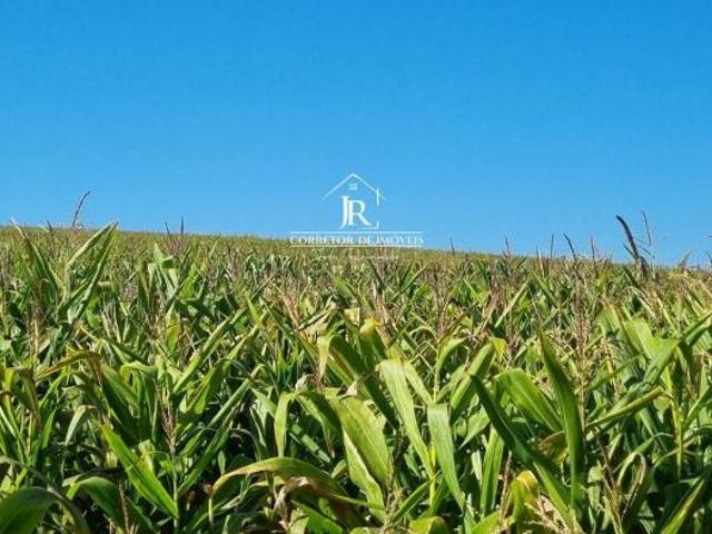 SÍTIO DE 13 ALQUEIRES À VENDA – UM INVESTIMENTO PRODUTIVO NO SUL DE MINAS!