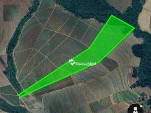 Sítio de 13 Alqueires à Venda – Já Arrendado e em Excelente Localização