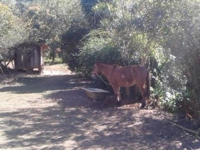 Sitio de 13 alqueires em jambeiro todo formado com muita água
