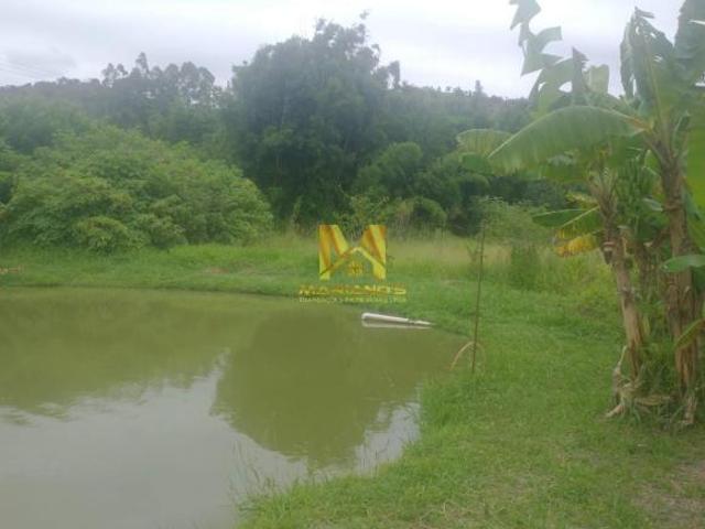 Sitio de 10.000 m2 em Batatuba Piracaia/SP