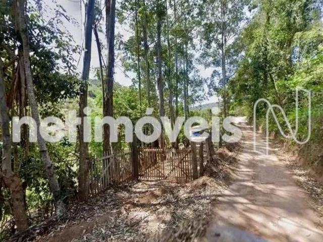 Sitio de 12 Hectares a venda em Novo Cruzeiro!