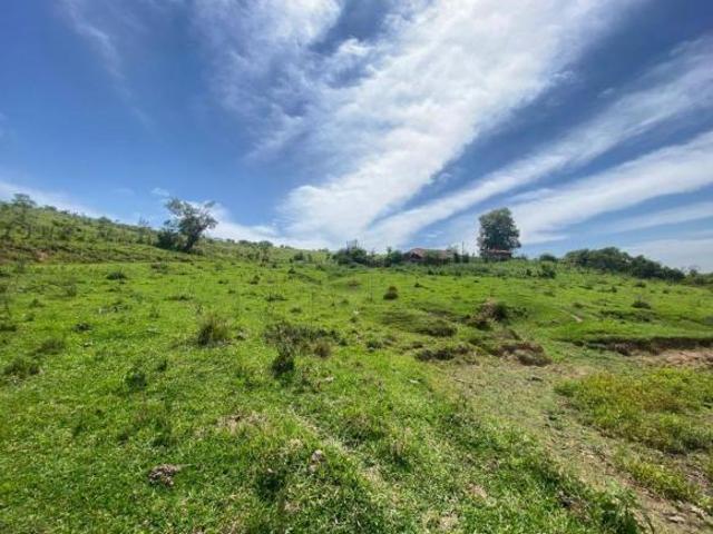 Sítio de 14 alqueires, Guarei SP