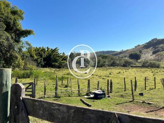 Sítio de 18,150 hectares – Taubaté/SP – Beira do Asfalto