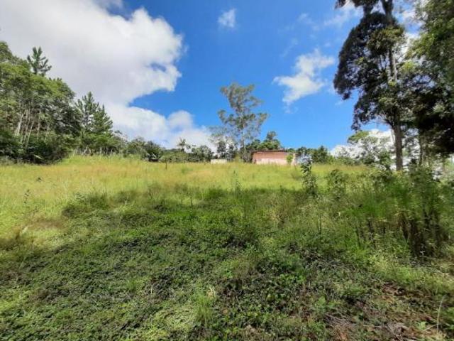 SÍTIO DE 23.500 M² POR R$ 167.000 MIL REAIS ESCR. REGISTRADA, 9.KM DO ASFALTO,SENDO 20.KM CENTRO