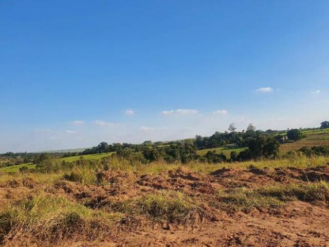 Sítio de 20.000 m² em Artur Nogueira SP