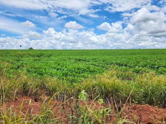 Sítio de 20.000 m² em Artur Nogueira SP