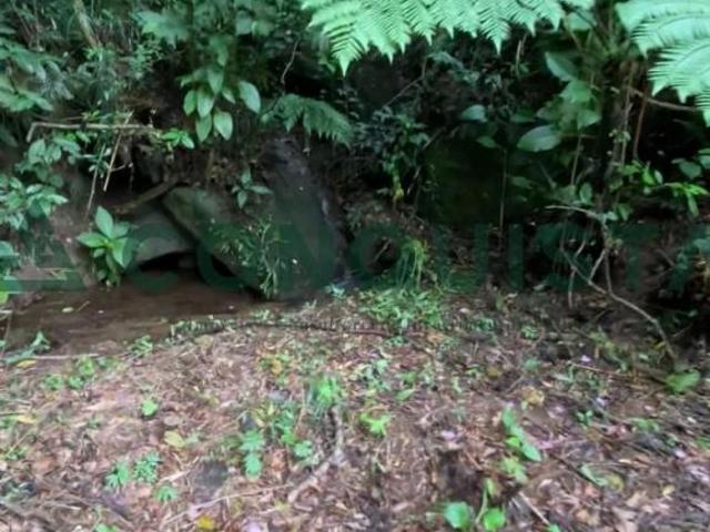 Sítio de 20.000m² à venda em Ibiúna SP, no bairro Sertão, cercado pela exuberante mata atlântica