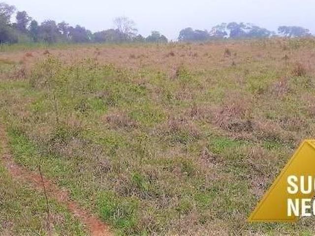 SÍTIO DE 20 ALQUEIRE PILAR DO SUL
