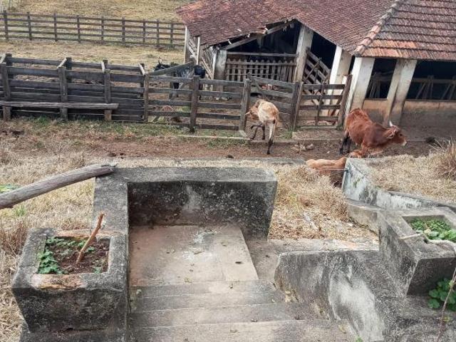 Sítio de 20 alqueires em Pouso Alegre MG beira da BR