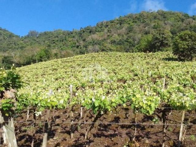 Sítio de 20 hectáres em Santa Tereza
