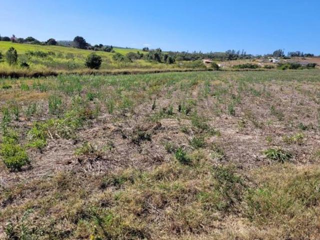 Sítio de 21.000 m² em Holambra SP