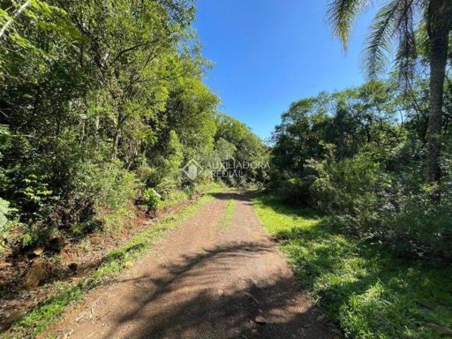 sitio de 21 hectares com área de plantio