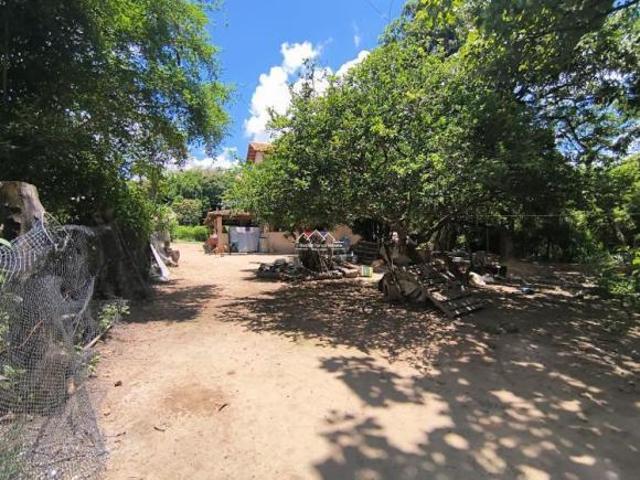 Sitio de 2 Hectares com Estrutura Completa para Avicultura!