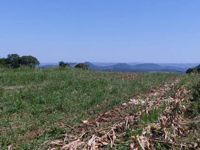 Sitio de 2 Hectares em Nova Hartz/RS apenas 4 km do Centro