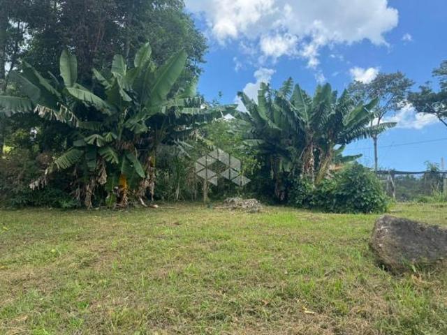 Sitio de 2.7 hectares em Linha Sobra, Carlos Barbosa
