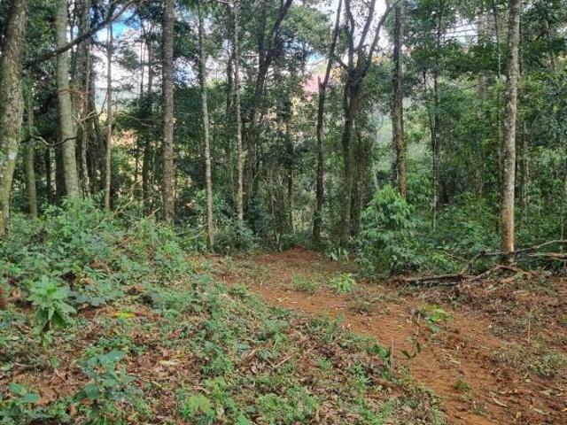 Sitio de 2,9 ha em Goncalves MG