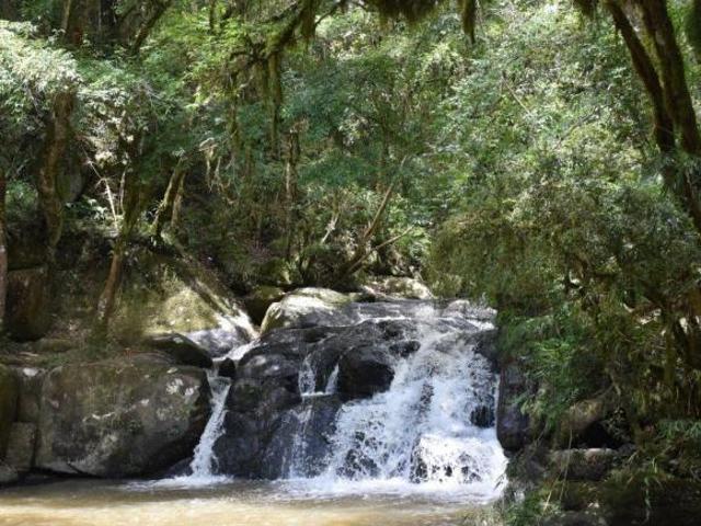 Sítio de 300 mil metros de muita área verde, cachoeira e lagos, ideal pra você ou seu negócio