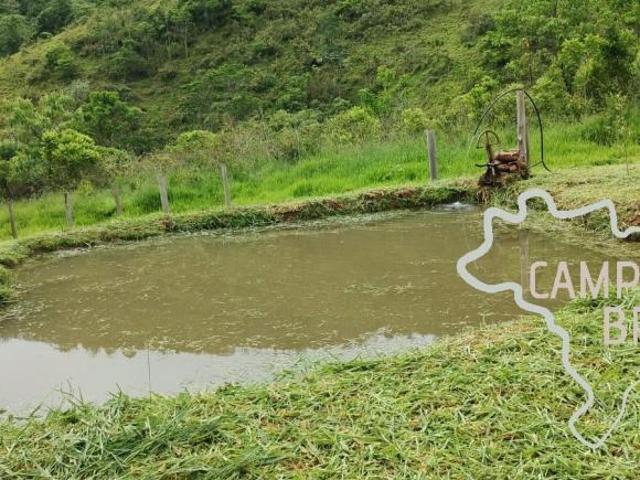 SÍTIO DE 30.000M² À 8 KM DA CIDADE DE MONTEIRO LOBATO!