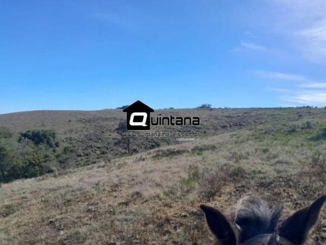 sítio de 30 hectares em Santana da Boa Vista