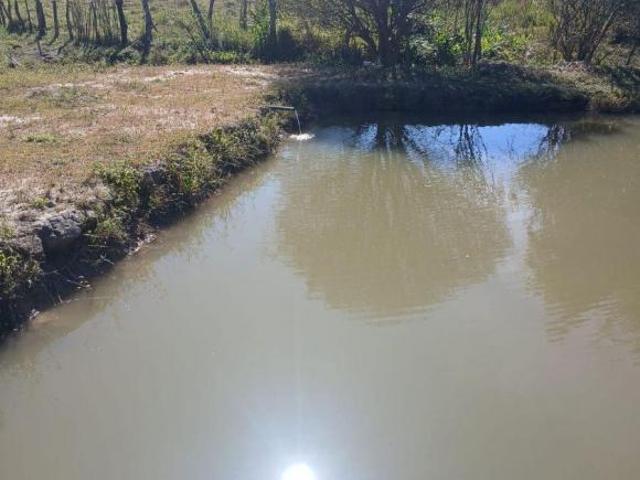 Sítio de 3 hectares e casa com 5 quartos em Rio Manso