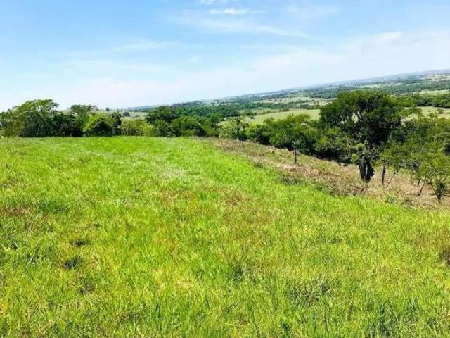 Sítio de 3,5 Alqueires em Cesário Lange